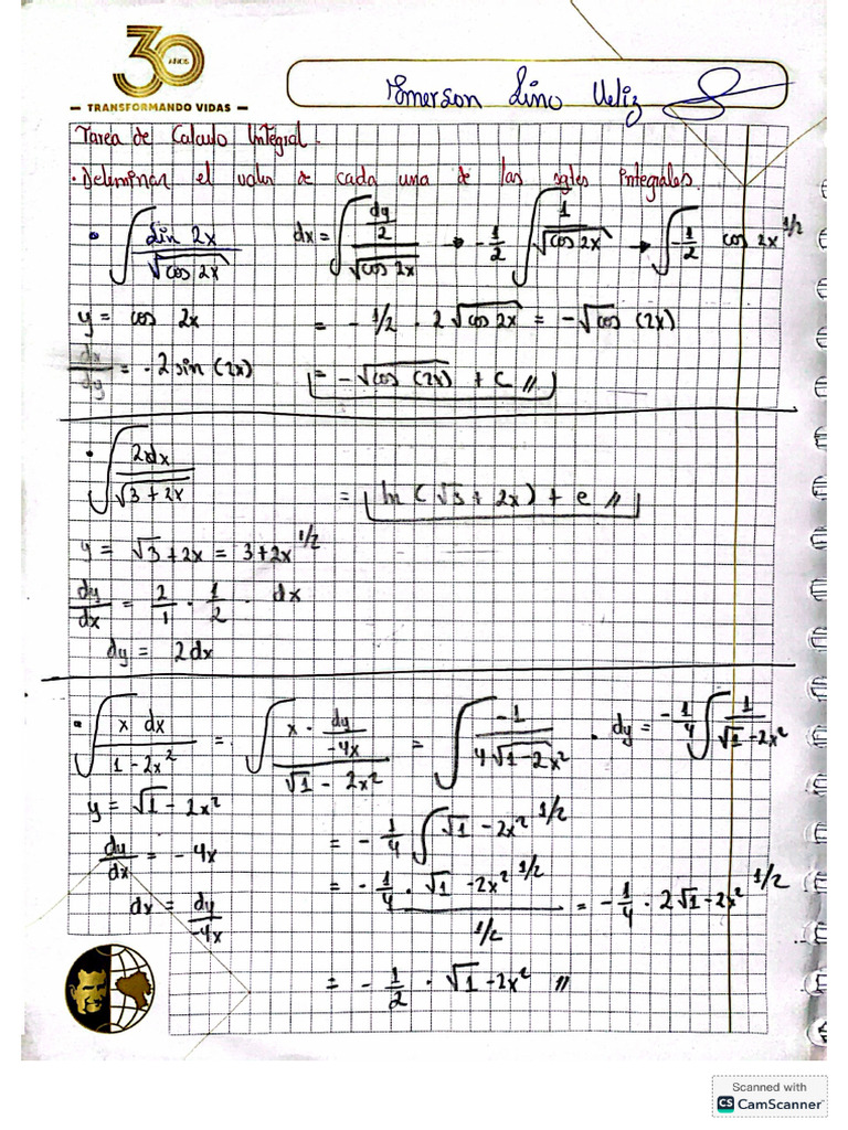 Emerson Lino Calculo Integral Tarea | PDF