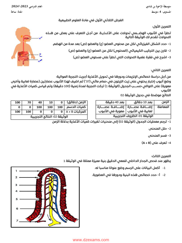 Dzexams 4am Sciences Naturelles 211131 | PDF