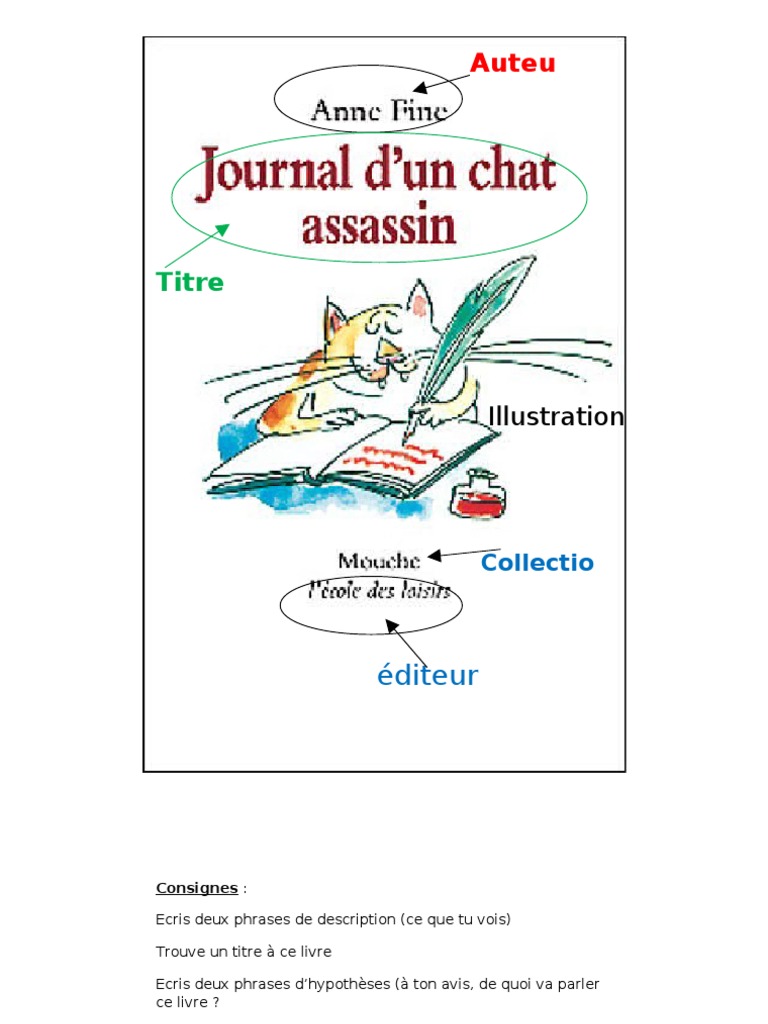 Le Journal D'un Chat Assassin, B | PDF