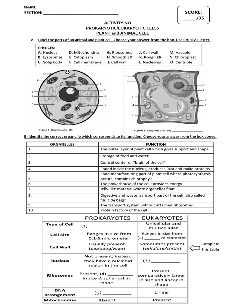 Lesson-2 Worksheet | PDF | Science & Mathematics
