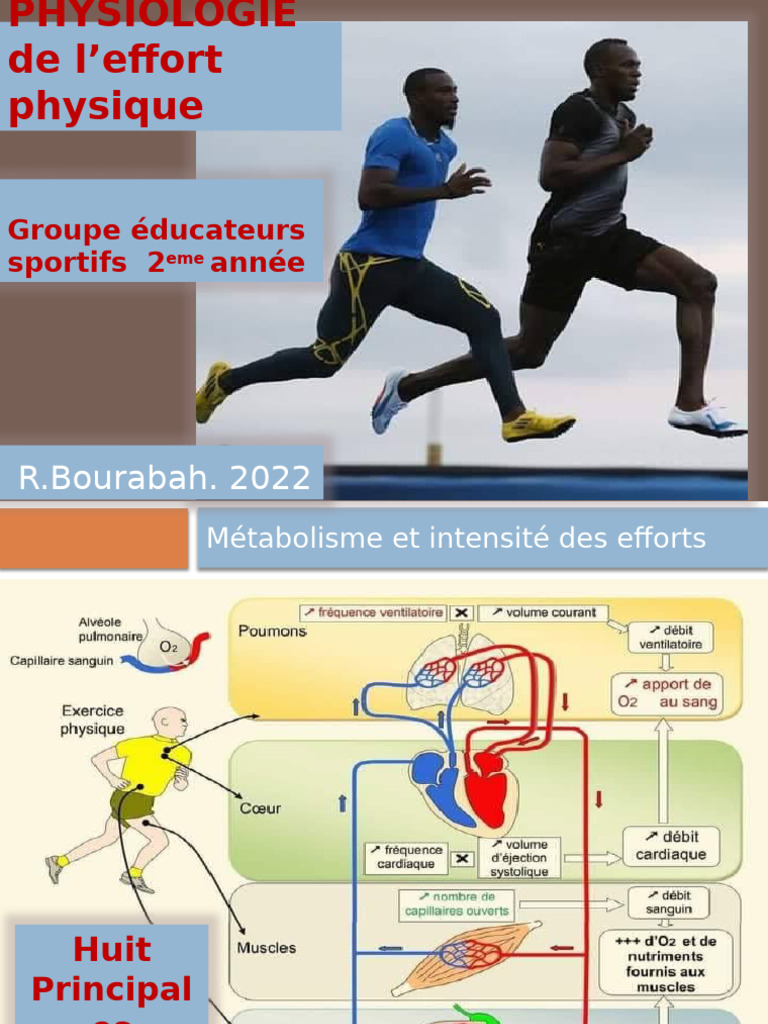5 Zones | PDF | Musculation | Forme physique