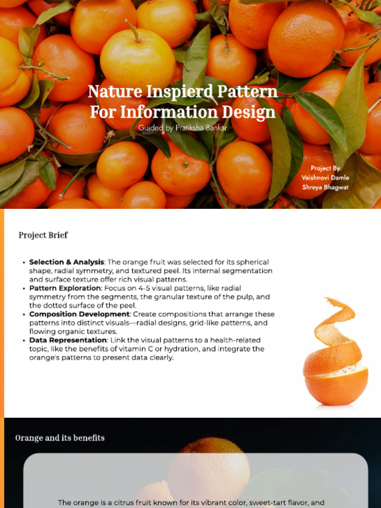 Nature-Inspired Orange Pattern Design | PDF | Orange (Fruit) | Sphere