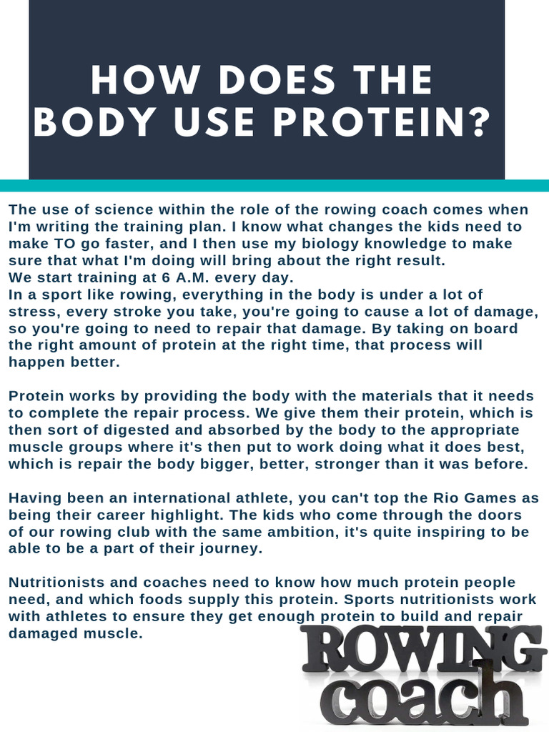 How Does The Body Use Protein | PDF | Dietary Fiber | Diet & Nutrition