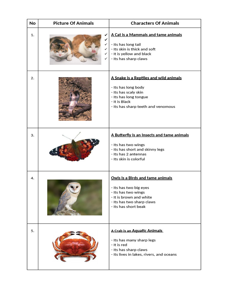 Animals Characteristics | PDF | Claw | Reptile