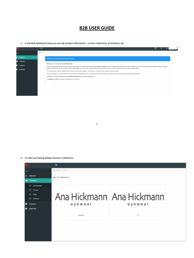 B2B_USER_GUIDE_EN | PDF