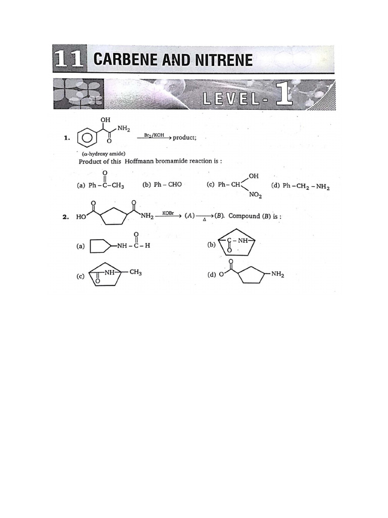 Carbene and Nitrene | PDF