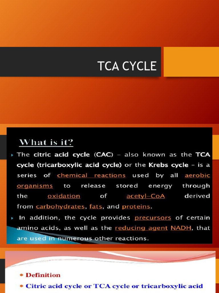 TCA - Cycle (1) - Read-Only | PDF