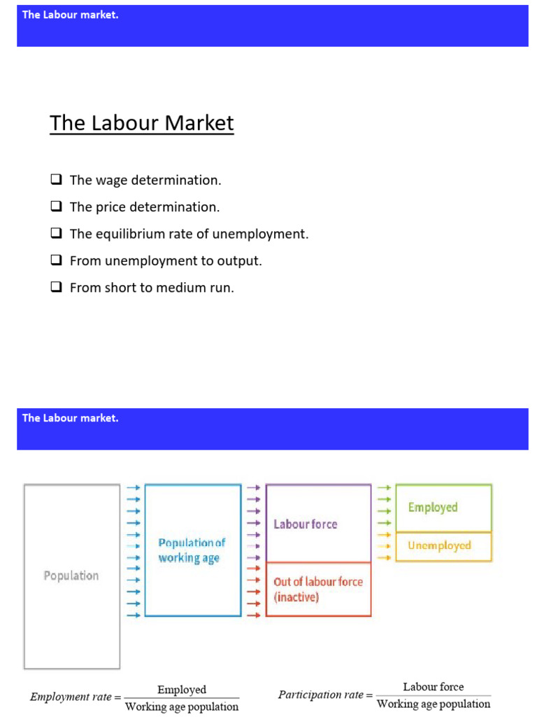 TOPIC 4 The Labour Market With A | PDF | Labour Economics | Unemployment
