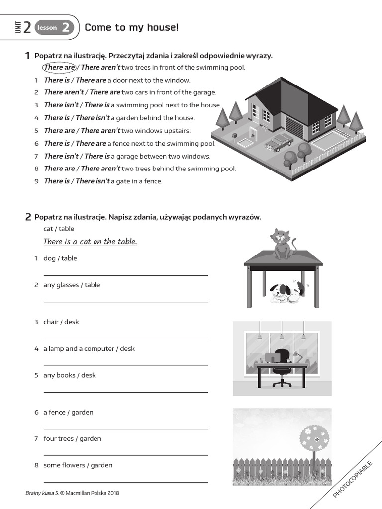 Brainy KL 5 TRF Unit 2 Lesson 2 | PDF