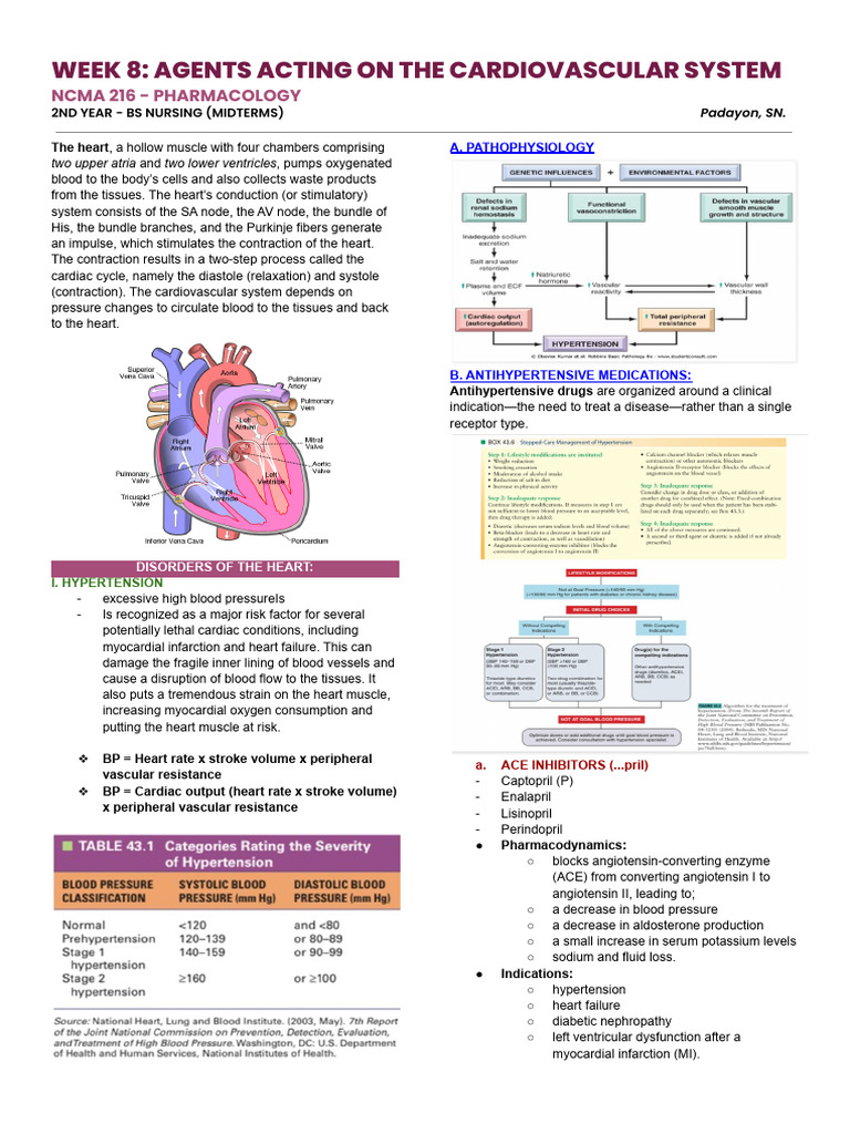 Week 8 - Agents Acting On The Cardivascular | PDF | Heart | Cardiac Muscle