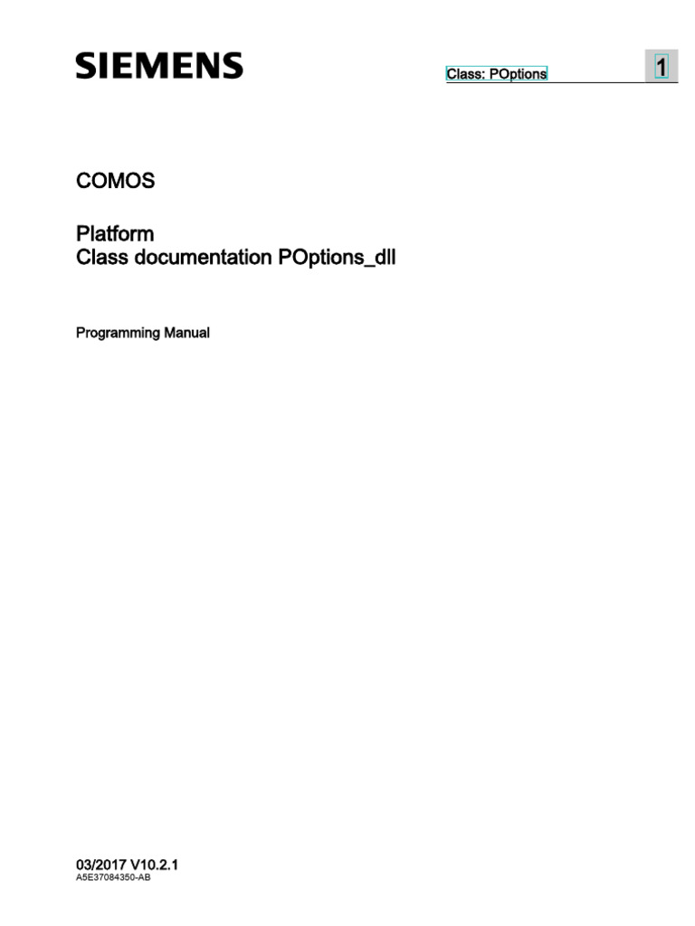 Class Documentation POptions DLL enUS | PDF | Parameter (Computer Programming) | Safety