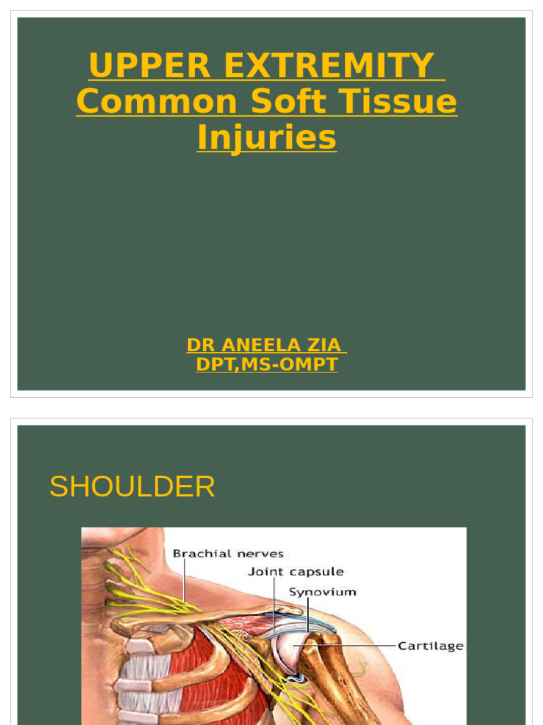 Shoudler Pathologies - 1 | PDF | Shoulder | Diseases And Disorders