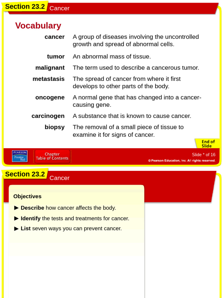 Understanding Cancer: Causes, Effects, and Prevention | PDF | Cancer ...