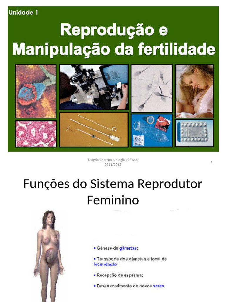 Aula3 Bio12 Ano1112 | PDF | Ovário | Sexo