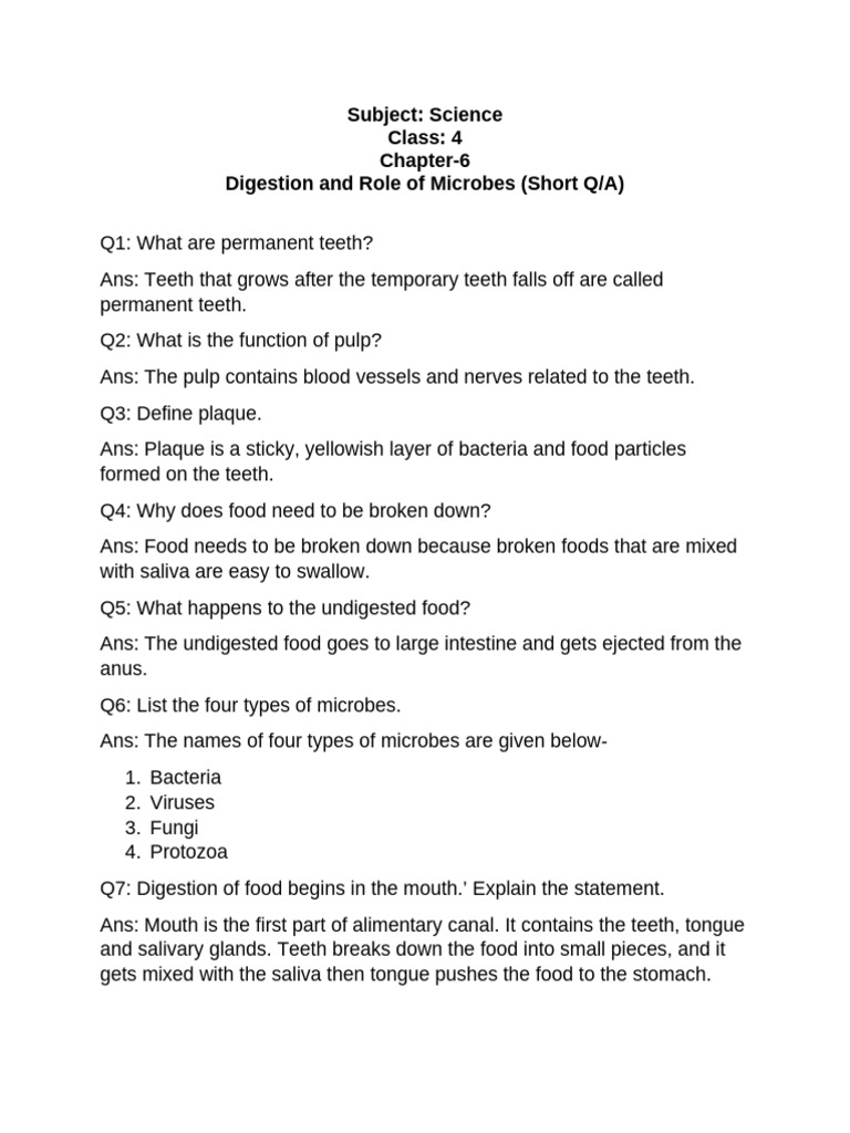 Chapter 6 short QA | PDF