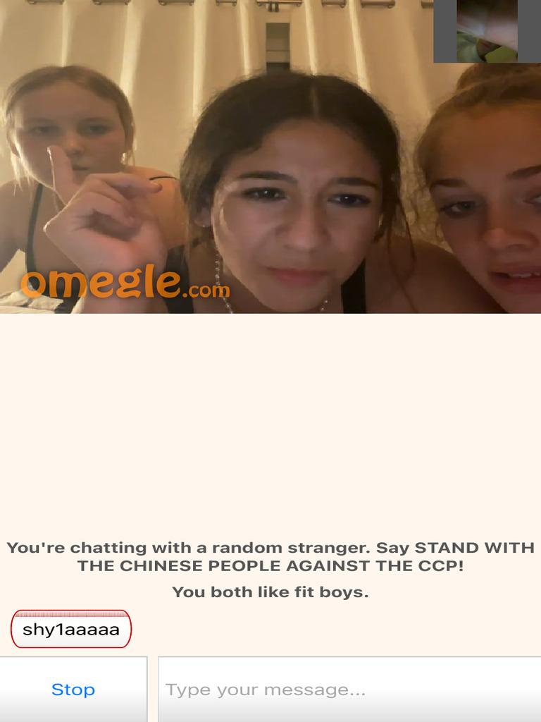 Omegle Talk To Strangers! | PDF