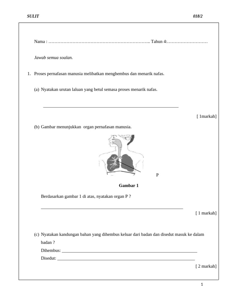 Sains Tahun 4 k2 | PDF