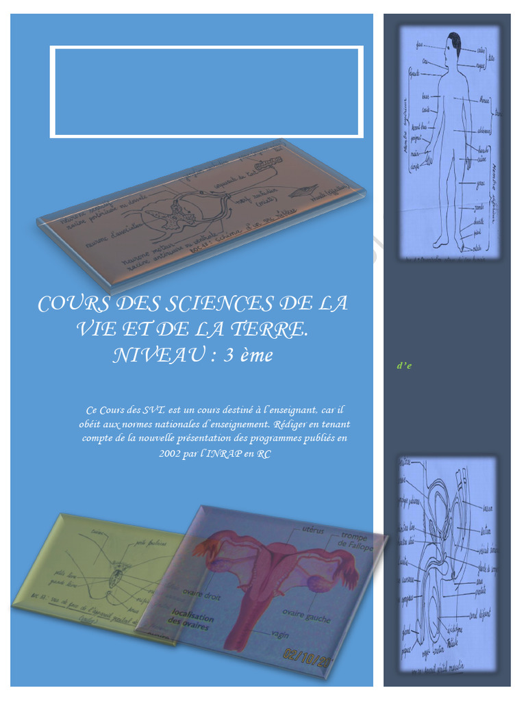 Cours de SVT pour 3ème Niveau | PDF | Neurone | Nerf