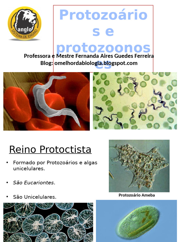 Protozoários: Tipos e Doenças Associadas | PDF | Malária | Plasmodium