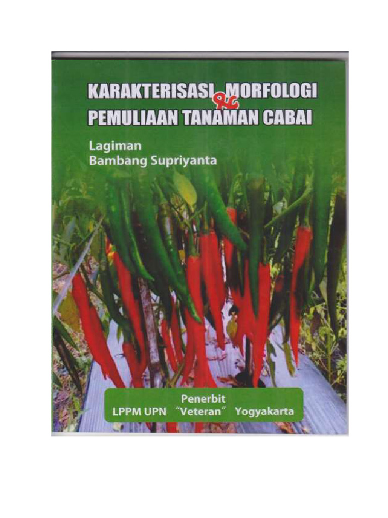 Karakterisasi Morfologi Dan Pemuliaan Cabai - 2022 - Lagiman Dan Bambang Supriyanta | PDF
