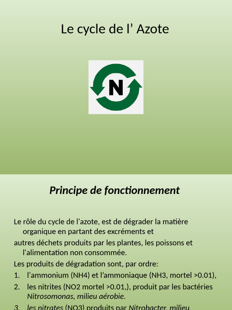 Le Cycle de L' Azote | PDF | Sciences et mathématiques