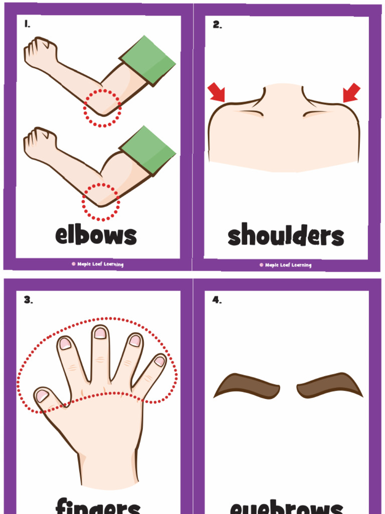 MAPLE Eyebrows-Up-Song-Flashcards | PDF