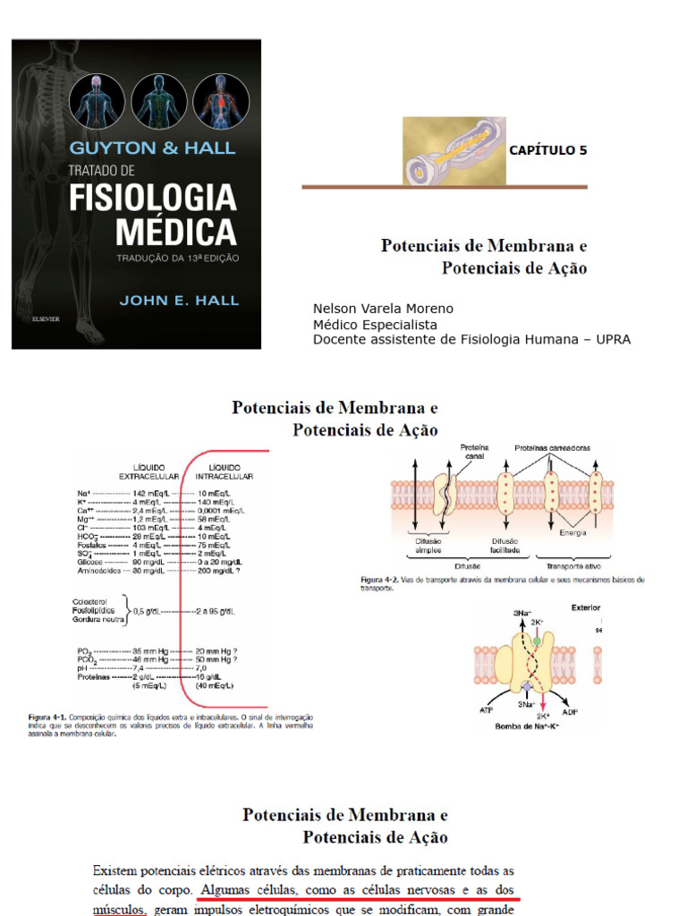 Potencial de Acção | PDF