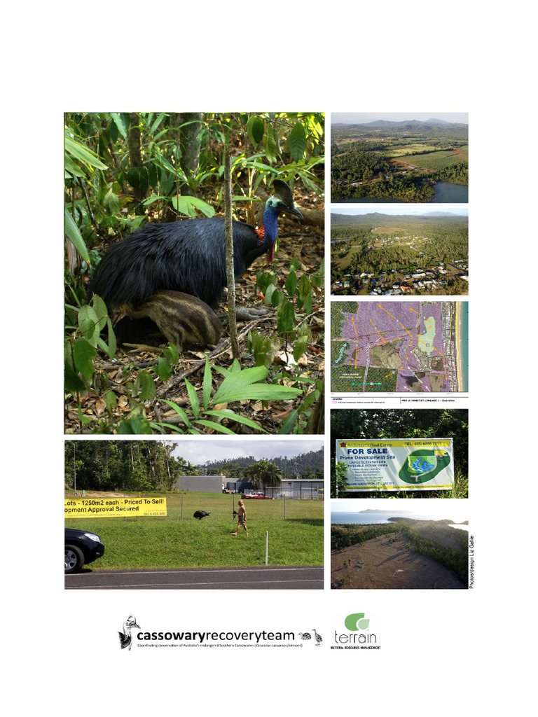 Cassowaries in Planning Schemes Guideline 20.12.2012 Final | PDF ...