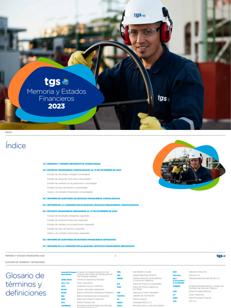 Docs Inv MEMORIA Tgs 2023-Final | PDF | Economias