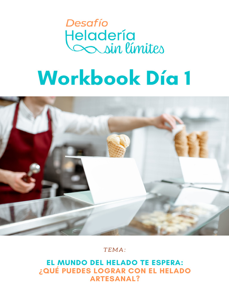 Workbook Dia 1 Desafio HSL Nov 2024 | PDF