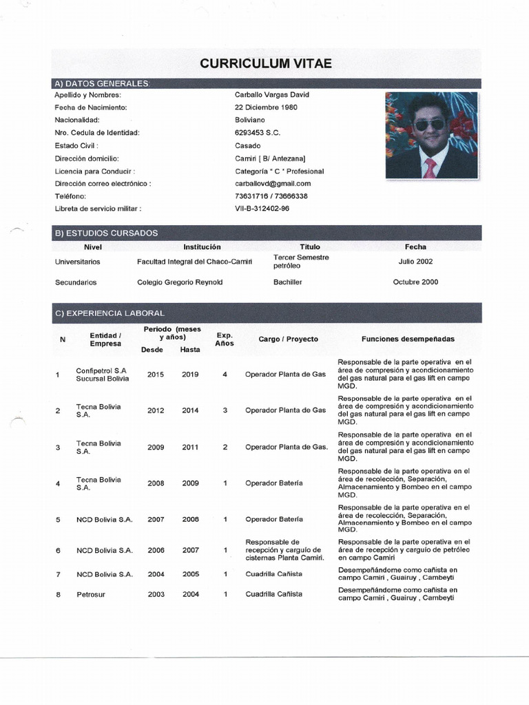 Cv-David Carballo | PDF