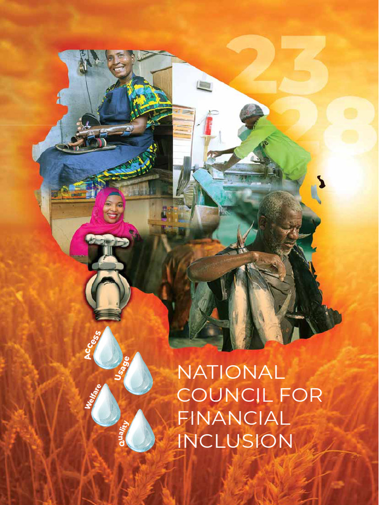 Frameworks - NATIONAL FINANCIAL INCLUSION FRAMEWORK (2023-2028) | PDF ...