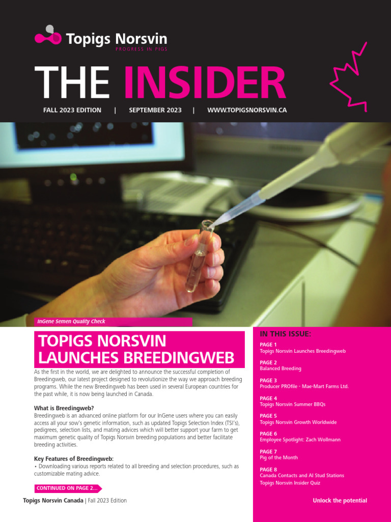 Topigs Norsvin Insider 2309 | PDF | Pig