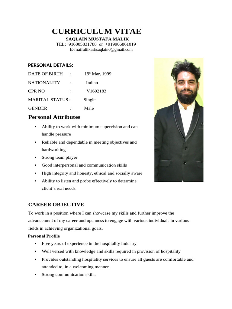 Saqlain Mustafa Malik's CV Summary | PDF