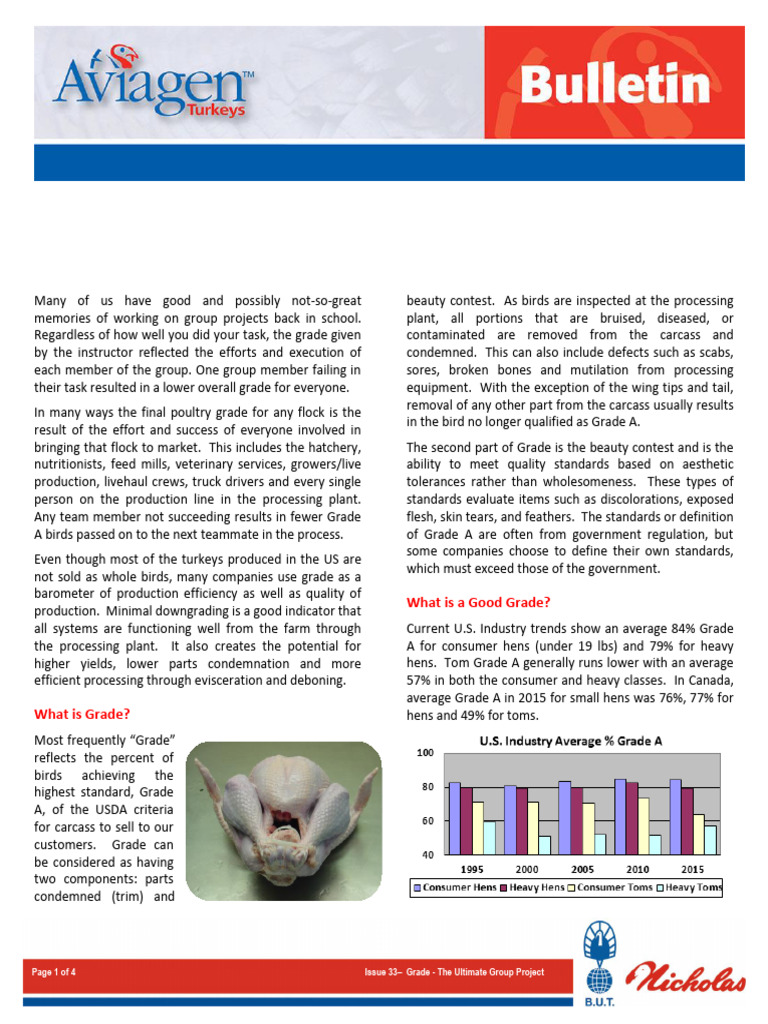 ATI Grade The Ultimate Group Project | PDF
