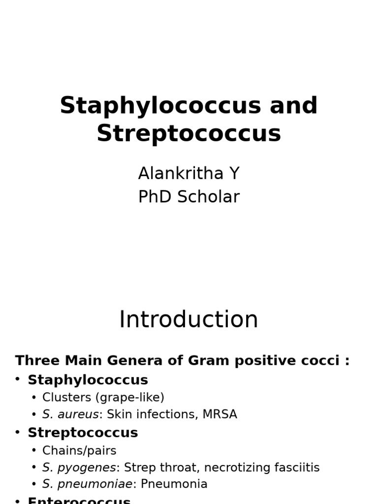 Staphylococcus and Streptococcus Presentation | PDF | Streptococcus ...