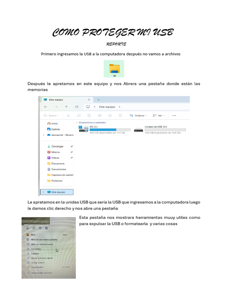 Proteger USB: Formateo y Seguridad | PDF | Archivo de computadora | Informática