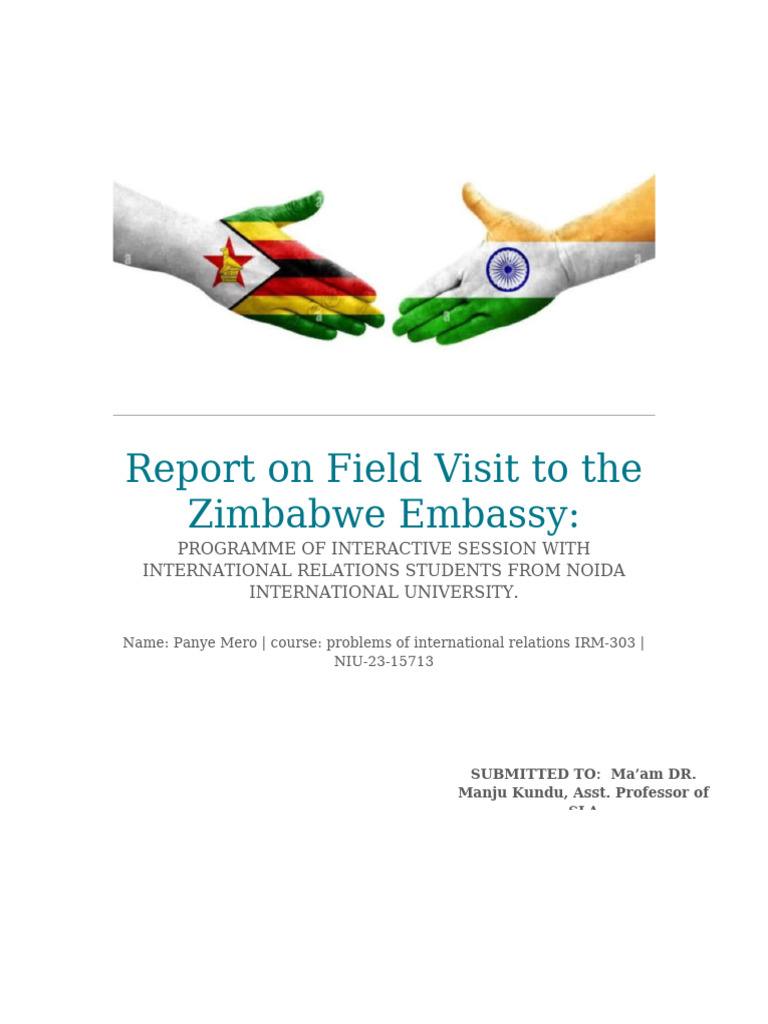 Insights from Zimbabwe Embassy Visit | PDF | Diplomatic Mission | Diplomacy