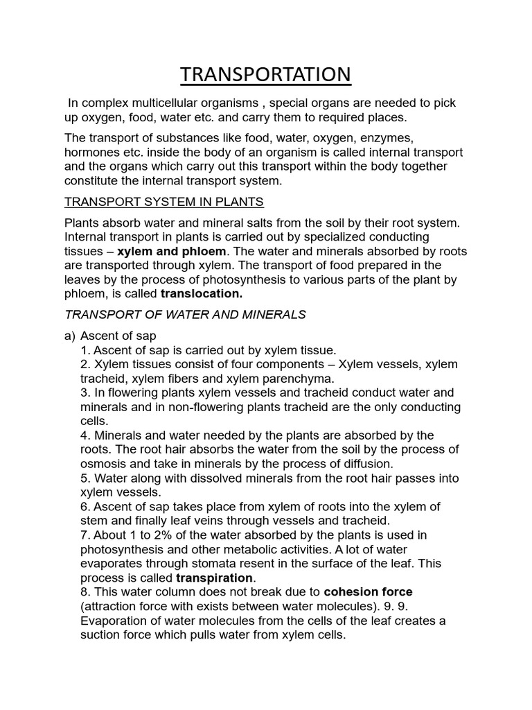 TRANSPORTATION | PDF | Atrium (Heart) | Ventricle (Heart)