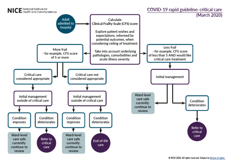 Critical Care Admission Algorithm PDF 8708948893 | PDF | Intensive Care ...