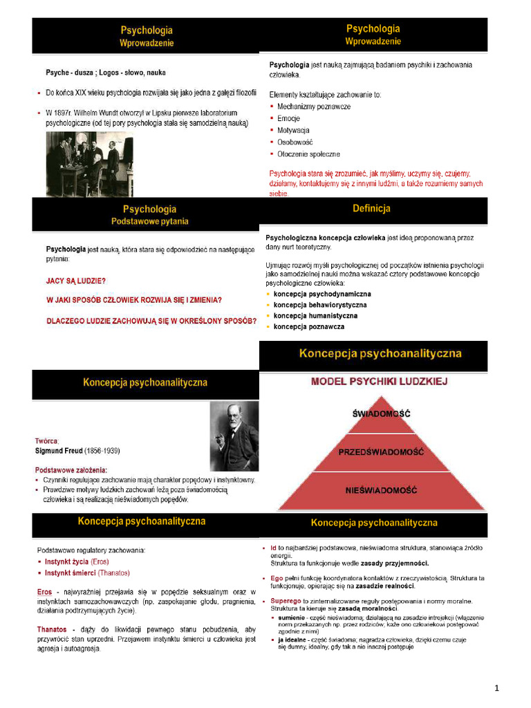 Wyklad Psychologia | PDF