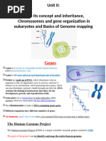 "Bill Nye: Genes" Video Worksheet | PDF | Gene | Dna