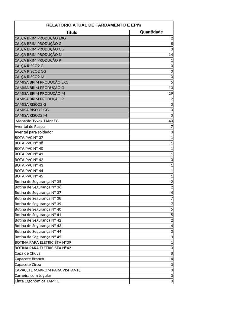 Relatório de EPI's | PDF