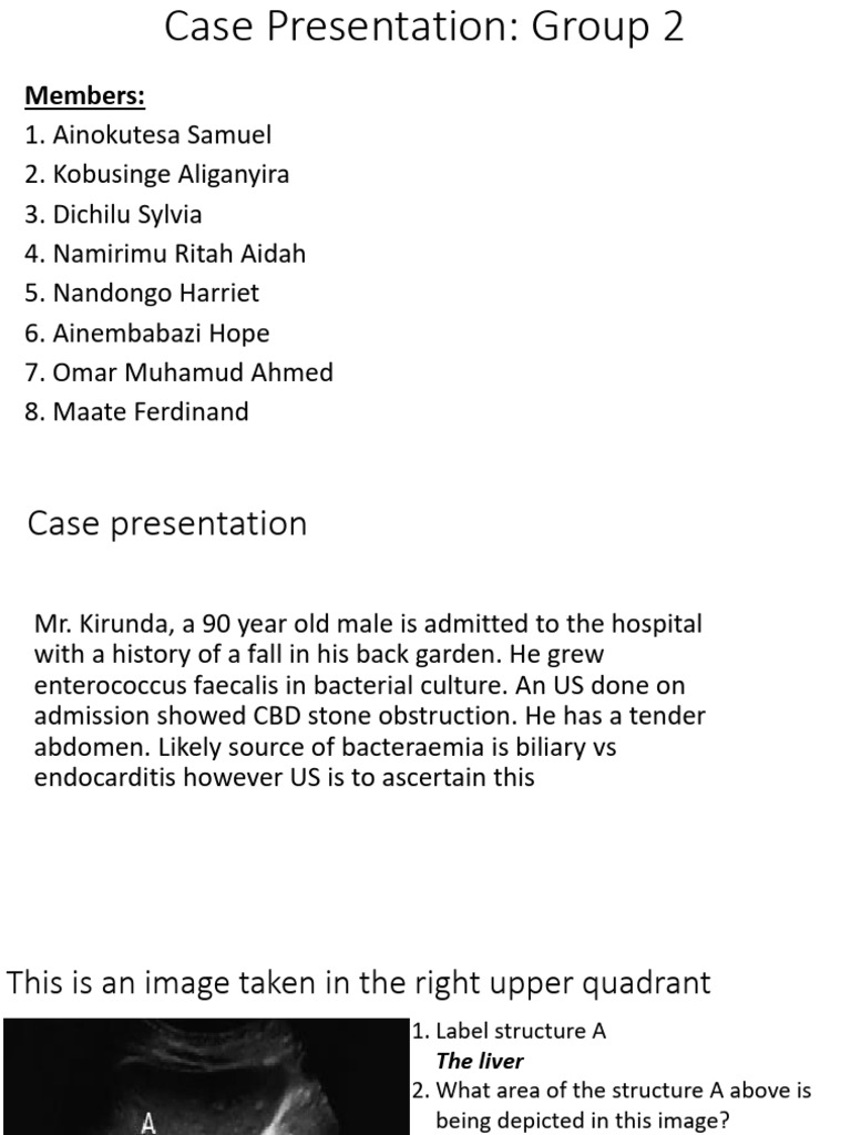 Case Presentation Group 2 | PDF | Liver | Medical Specialties