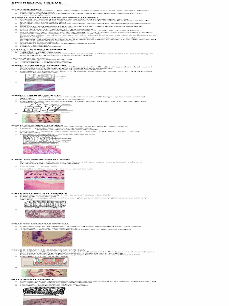 Epithelial Tissue | PDF
