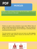 GCSE PE Muscular System Revision Guide | PDF | Anatomical Terms Of ...