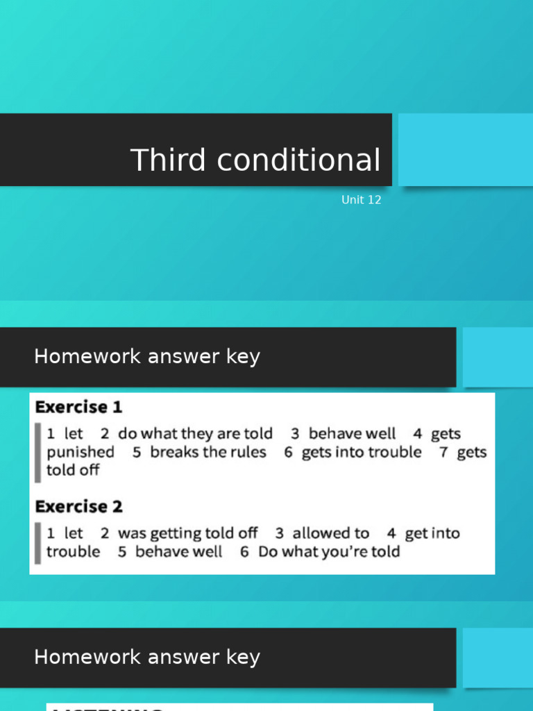 Third Conditional Practice Guide | PDF