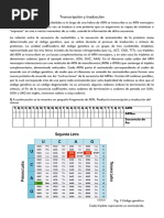 Tabla de Codones | PDF | Serina | Codigo genetico