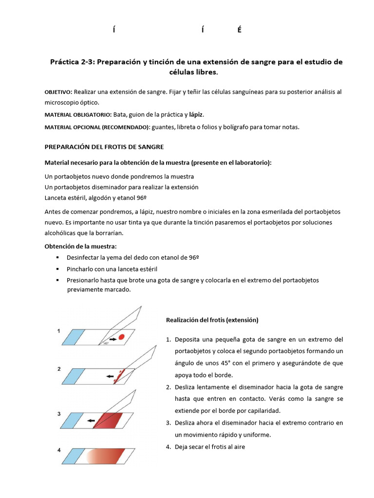 Práctica 2-3 Biología-1 | PDF | Metanol | Etanol