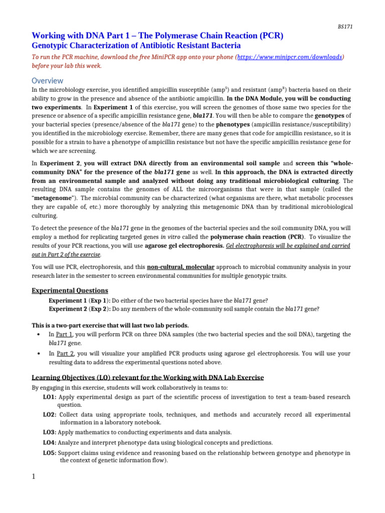 DNA1-PCR Lab Exercise F24 | PDF | Polymerase Chain Reaction | Primer ...